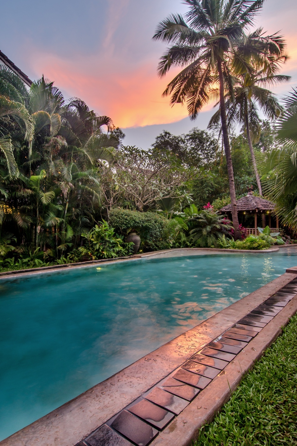 Festive Offer | Coco Shambhala, Luxury Villas in Goa