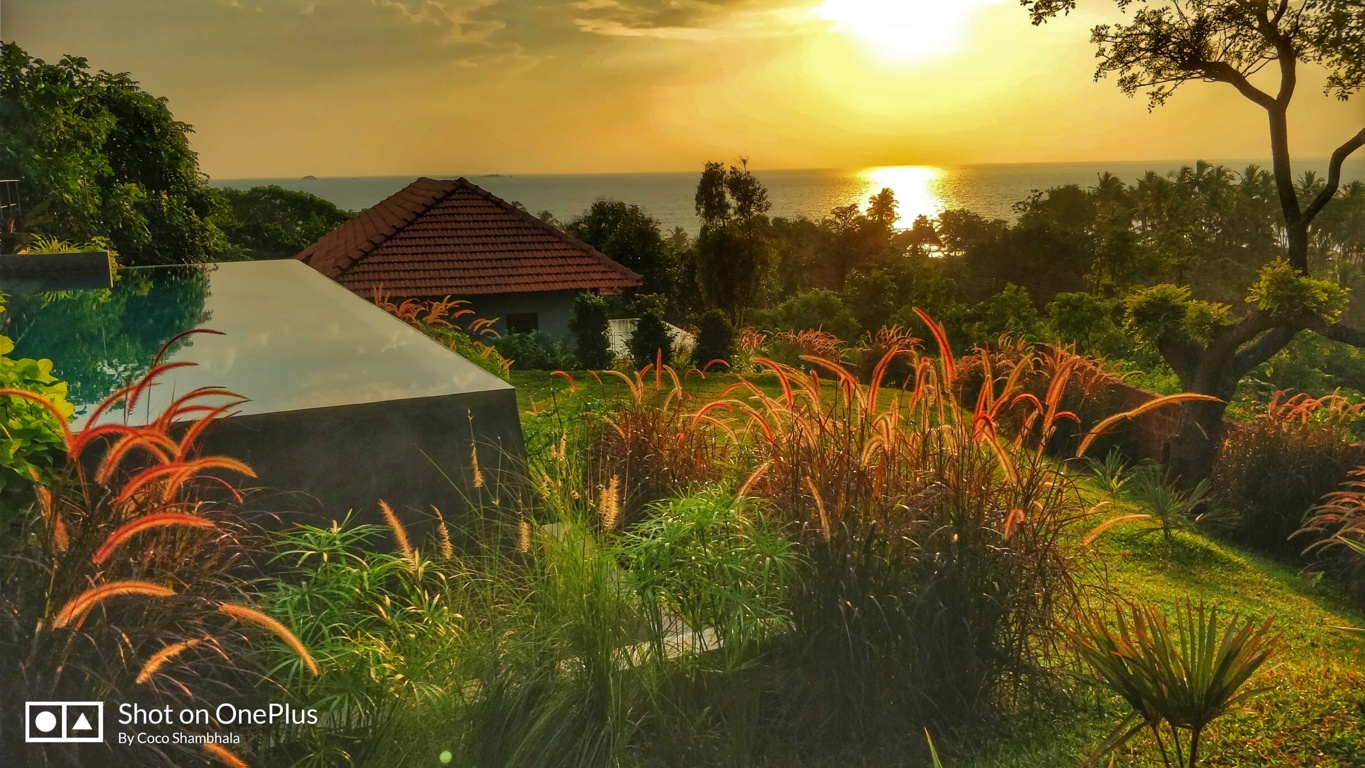 Festive Offer | Coco Shambhala, Luxury Villas in Goa